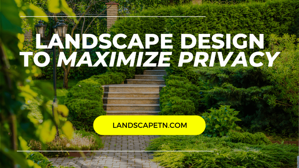 Maximizing Privacy with Creative Landscaping Solutions - Landscape ...