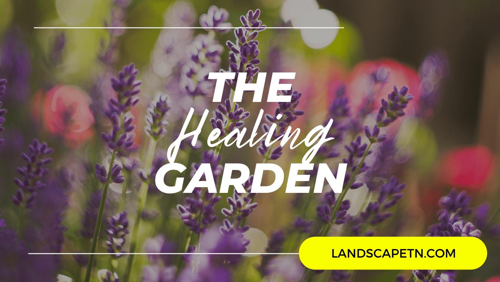 How Landscapes Can Promote Wellness and Relaxation | Landscape Design ...