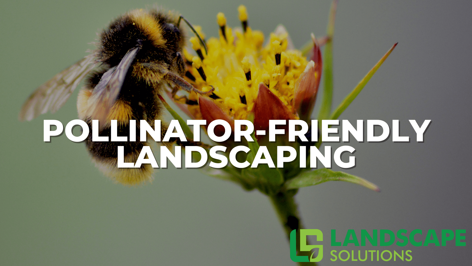 The Role of Pollinator-Friendly Landscaping in Sustainable Design ...