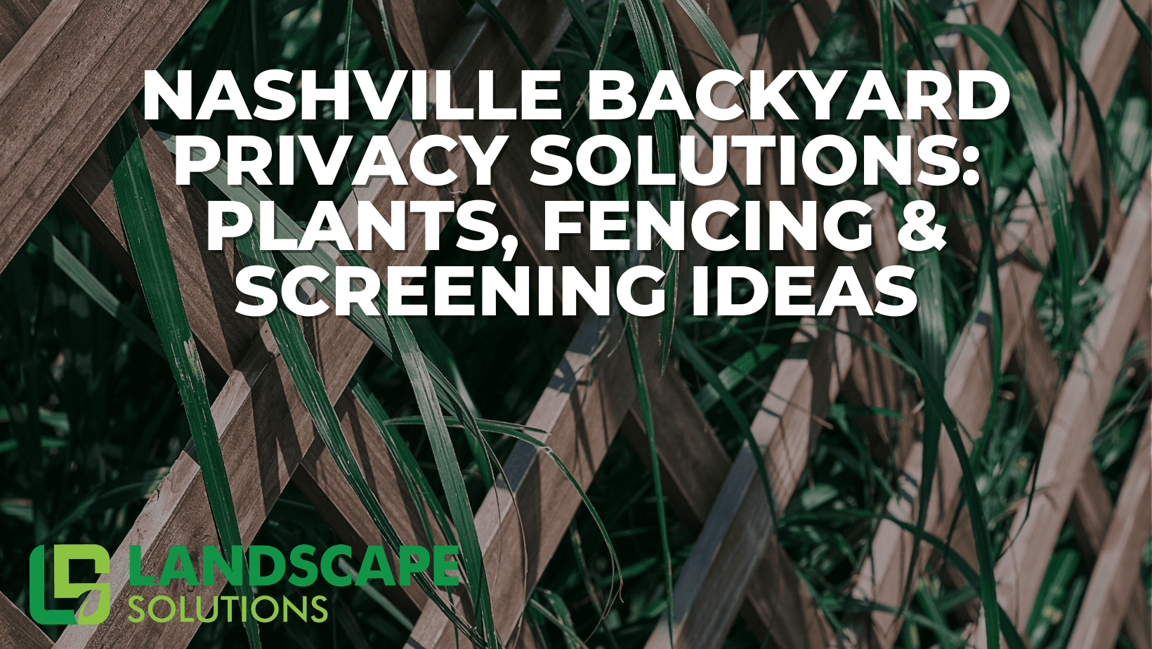 Nashville Backyard Privacy Solutions: Plants, Fencing & Screening ...