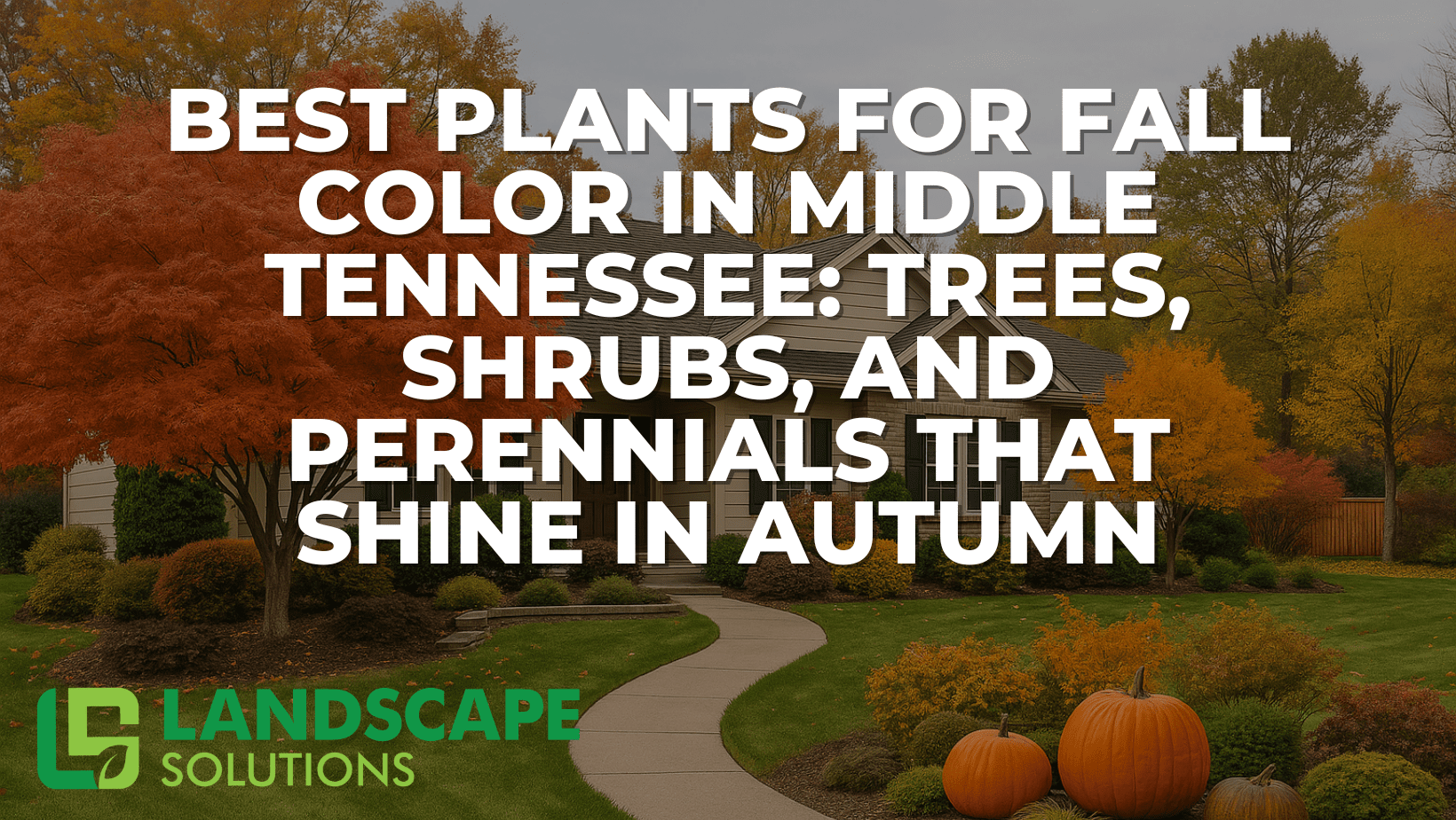 Best Plants for Fall Color in Middle Tennessee: Trees, Shrubs, and ...