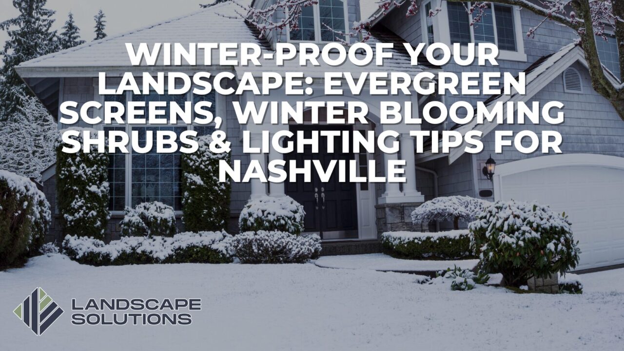 Winter-Proof Your Landscape – Landscape Solutions