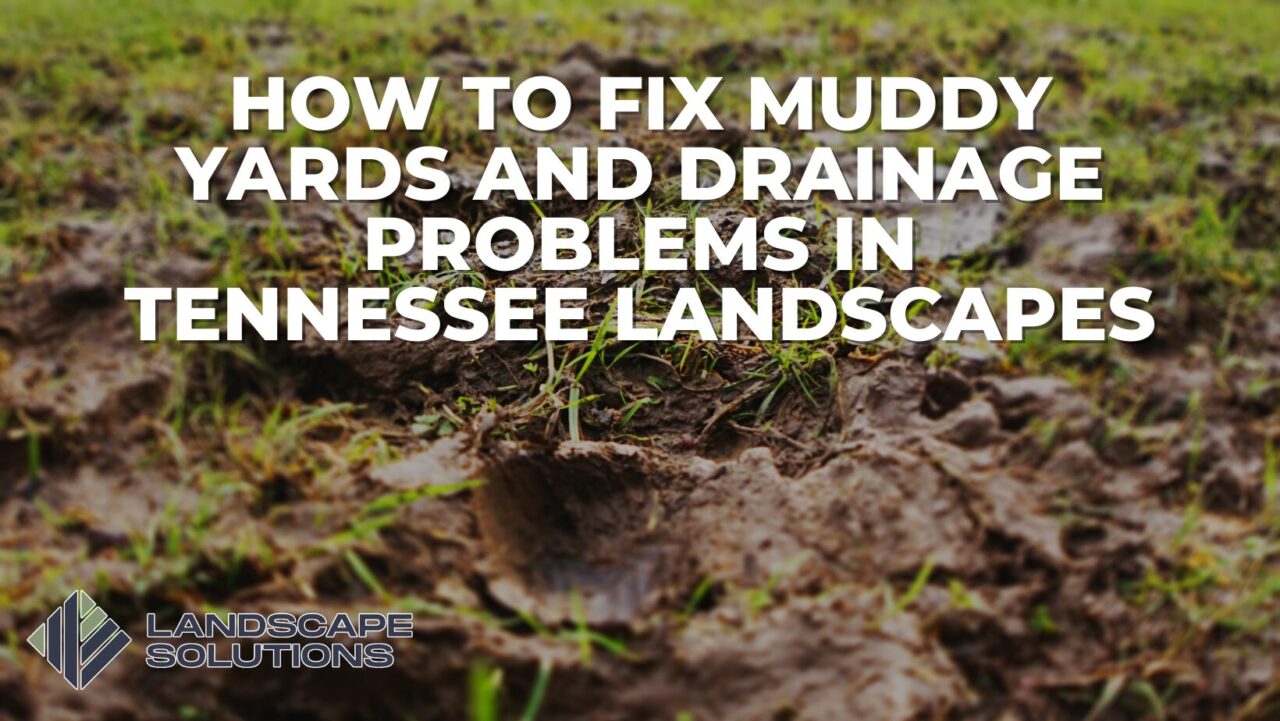 Fix Muddy Yards & Drainage Problems in Tennessee | Expert Guide